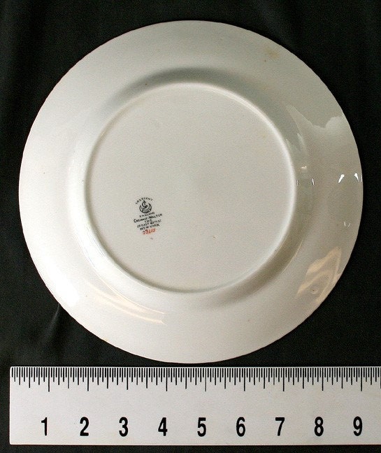 12 Finest Quality George Jones Porcelain Floral Lunch Plates - Etsy