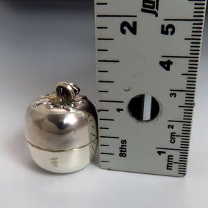 Mid/late 1800s European Silver Gourd Melon Fruit Form Box - Etsy
