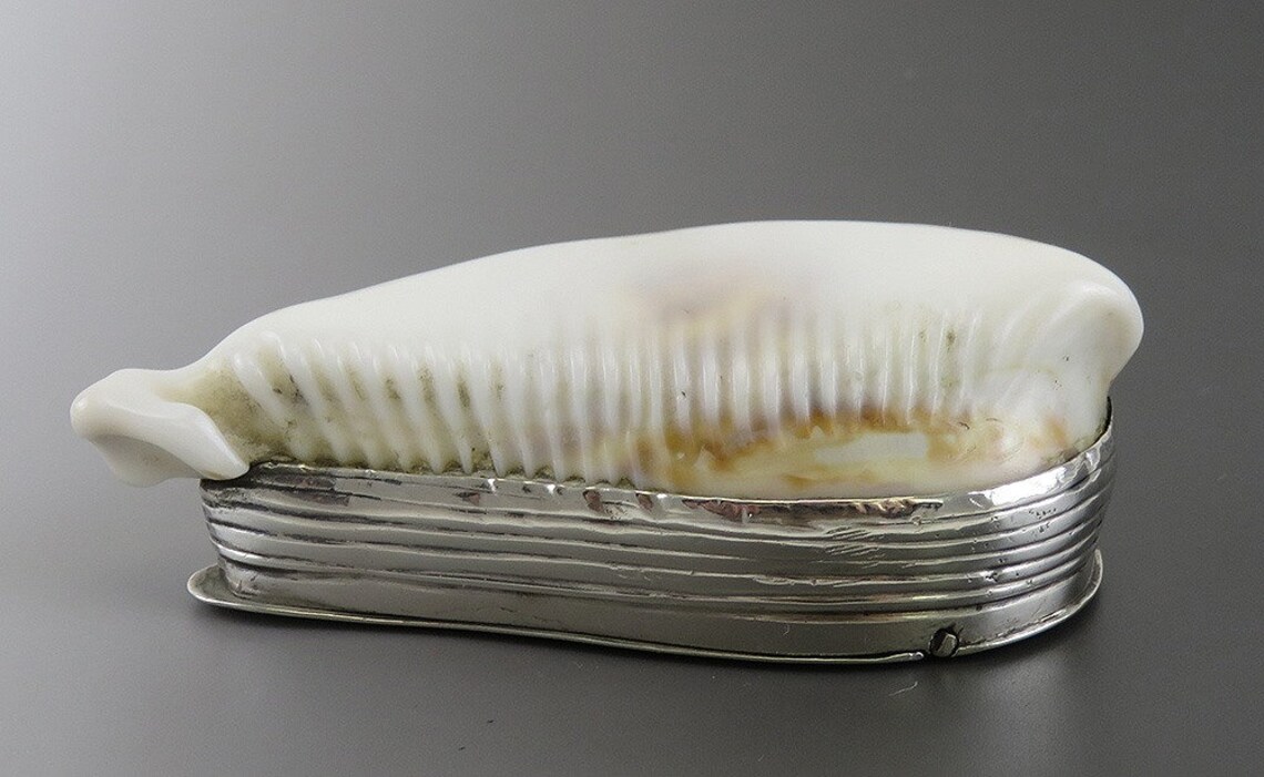 Antique Sterling Silver Mounted Cowrie Shell Snuff Box 18th | Etsy