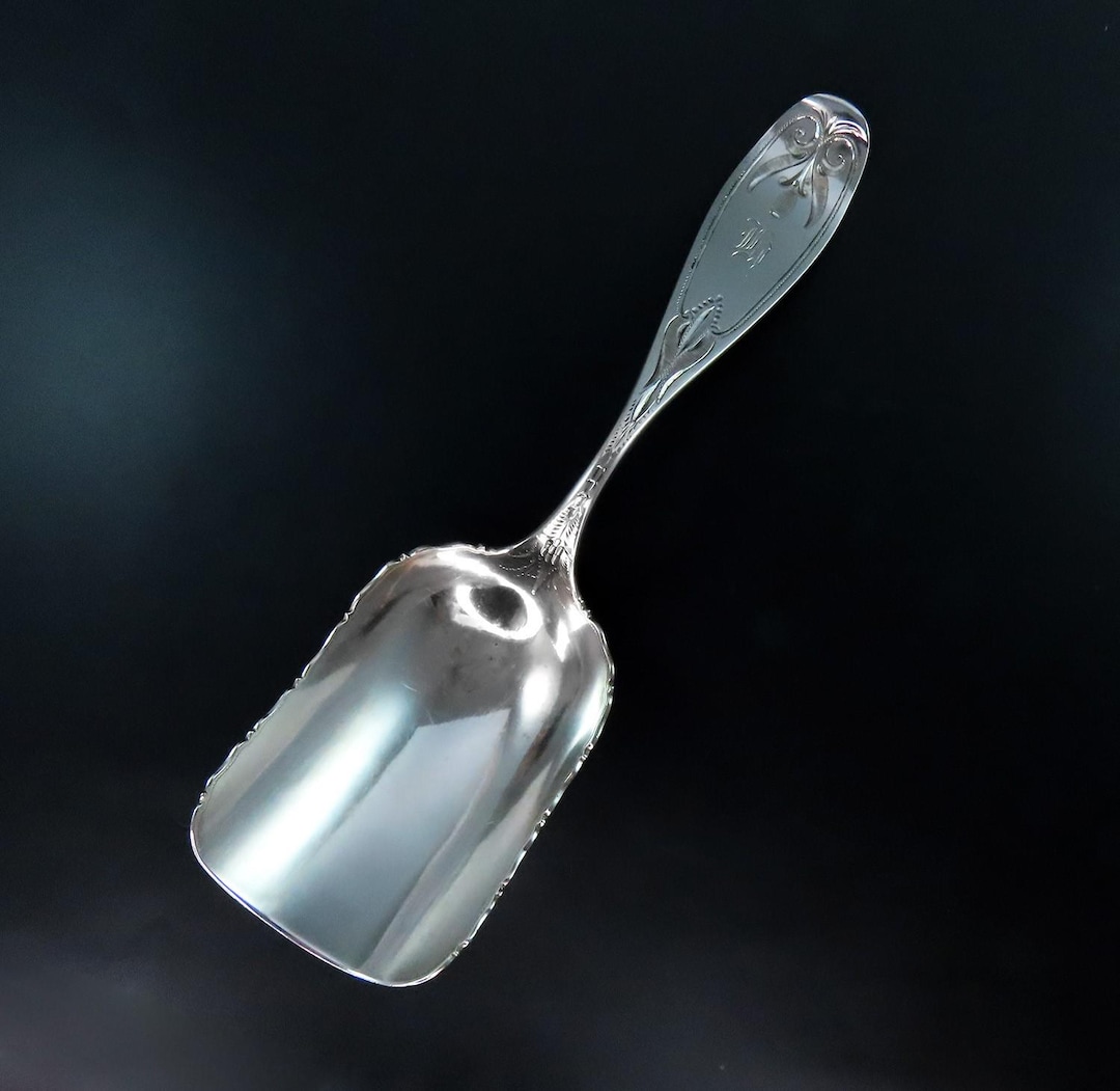 1850s James Watts Coin Silver Cracker Scoop Great Engravings 8 7/8 ...