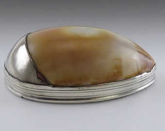 Antique Sterling Silver Mounted Cowrie Shell Snuff Box 18th | Etsy