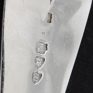 Huge 1893 Victorian English Sterling Silver Platter Serving Spoon ...