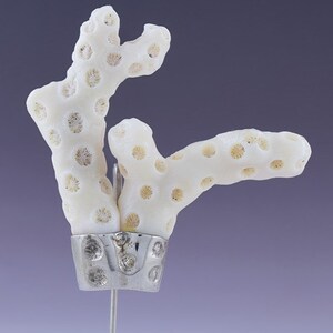 Lydia Roca Peruvian Natural White Coral & 18K White Gold Stickpin - Etsy