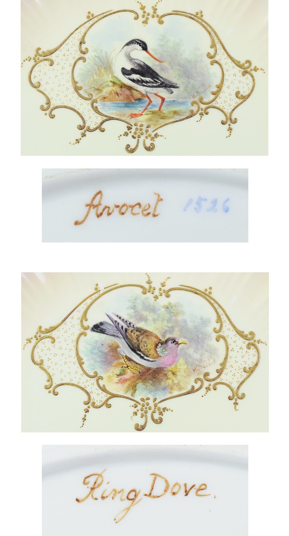 12 Bodley Hand Painted Game Bird Porcelain Plates | Etsy