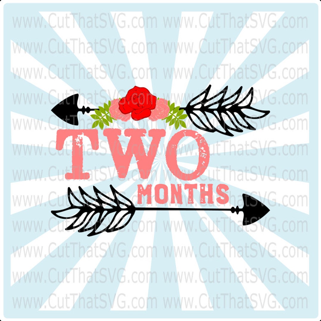 Two Months SVG, Monthly Milestone, Milestone Blanket, Shirt, Arrow ...