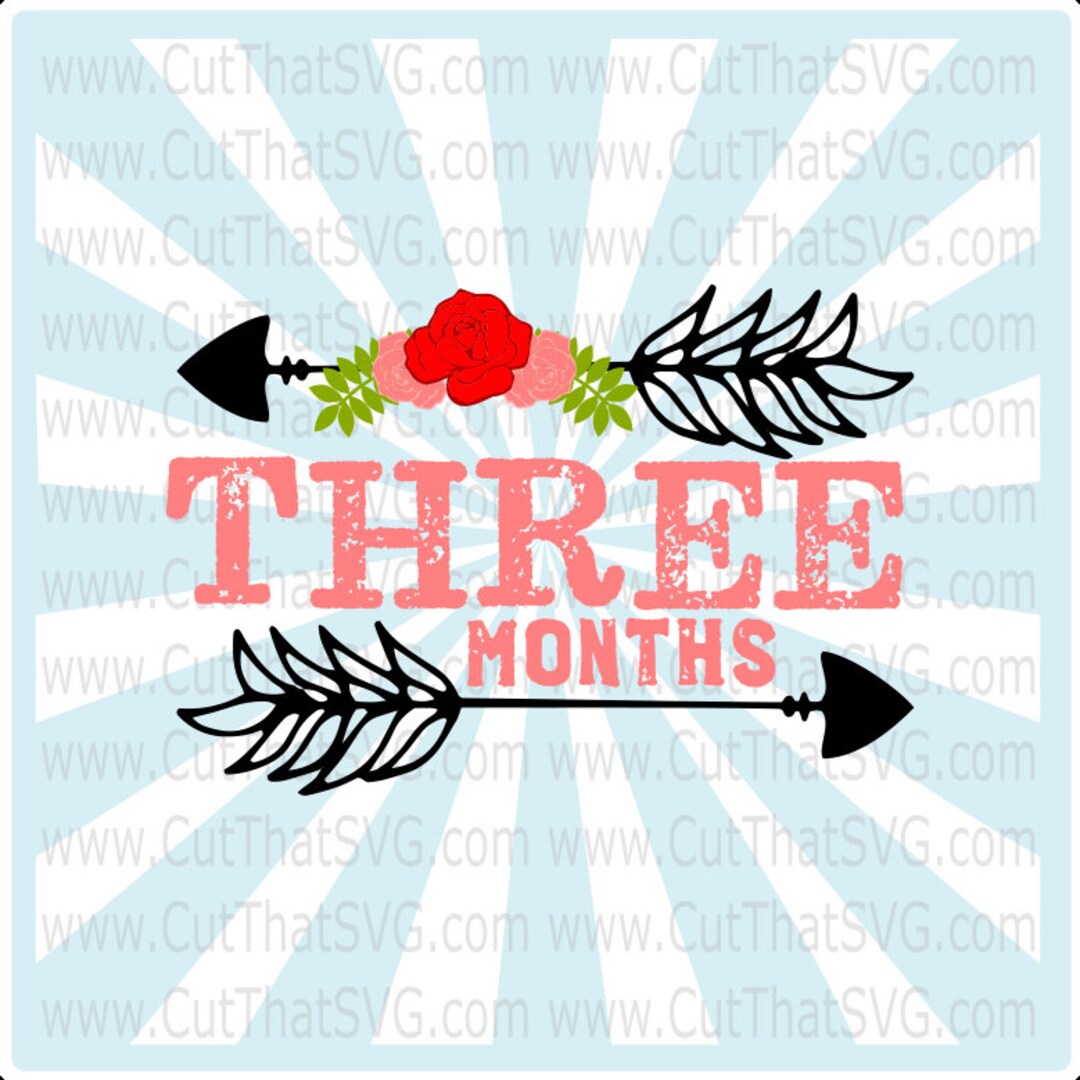Three Month SVG, Monthly Milestone, Milestone Blanket, Shirt, Arrow ...