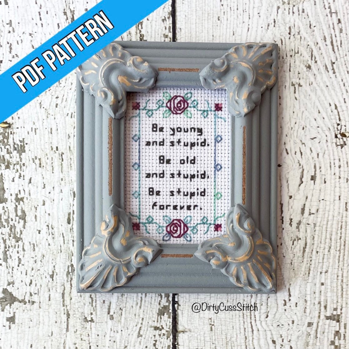 Sassy Stitches GROUP TWO Mini Cross Stitch PDF Pattern Set - Etsy