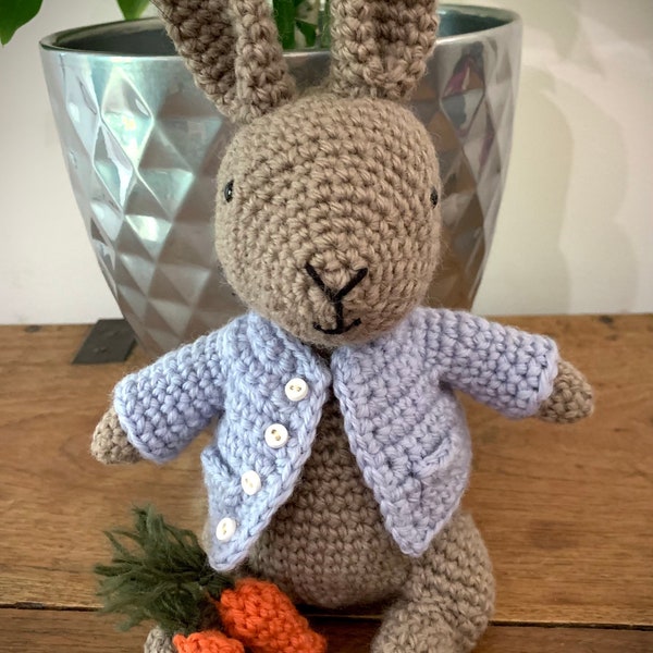 Peter Rabbit Crochet Pattern - Etsy