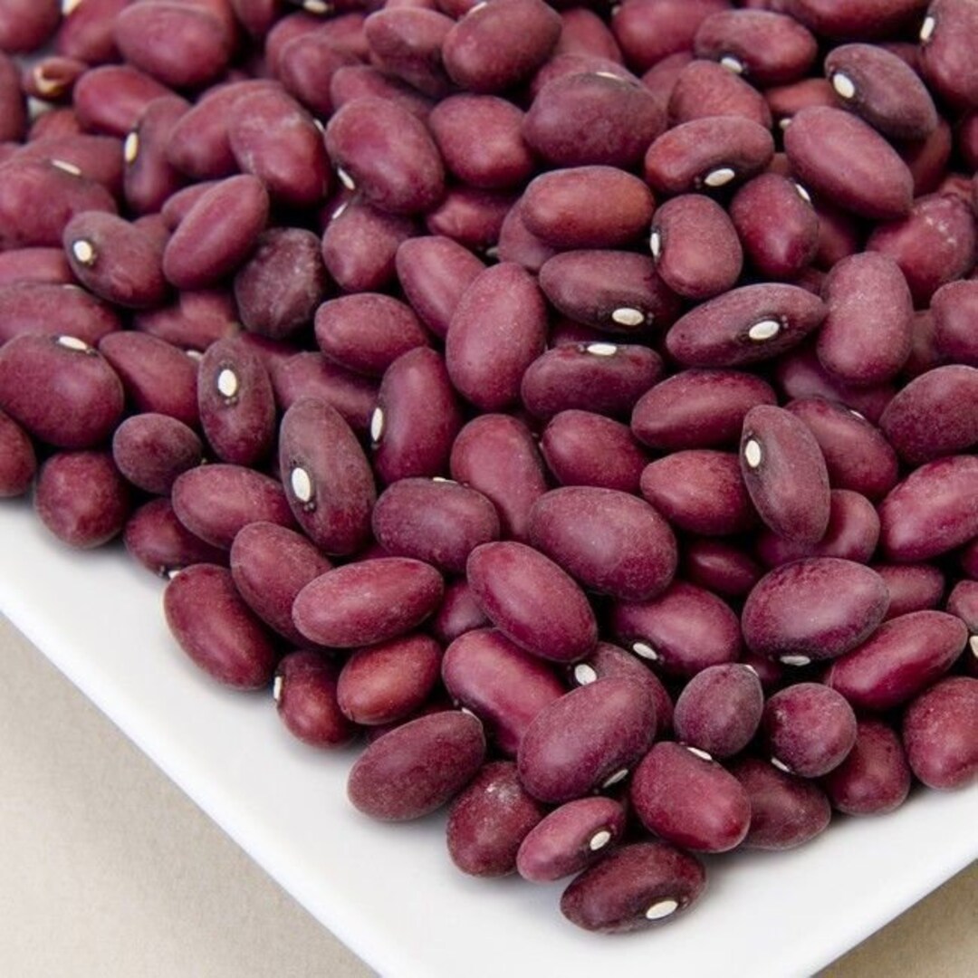 Heirloomsupplysuccess 30 Heirloom Red Chili Bean (plant) Seeds - Etsy