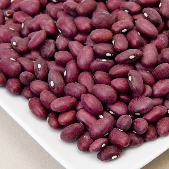 Heirloomsupplysuccess 30 Heirloom Red Chili Bean plant Seeds - Etsy