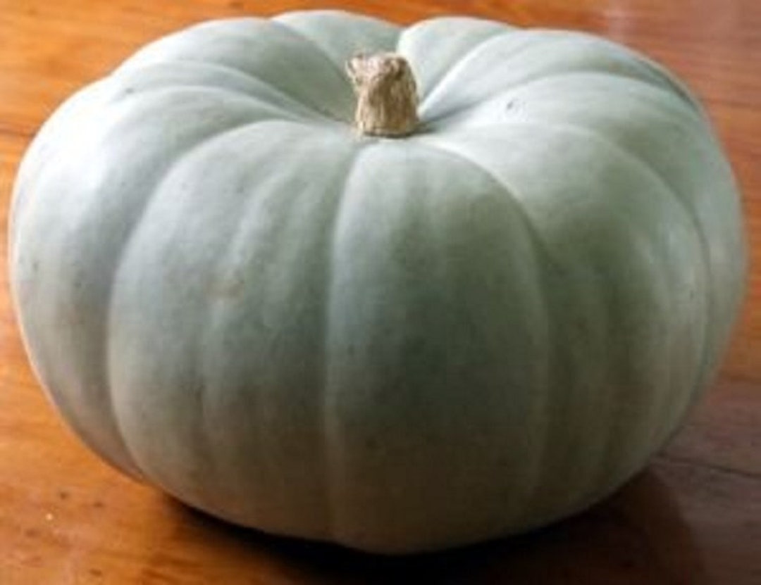 Heirloom Blue Jarrahdale / Jarradale Pumpkin / Squash Seeds - Etsy