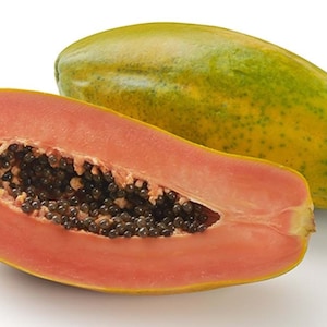 Heirloomsupplysuccess Heirloom Red Maradol Papaya Fruit Seeds - Etsy