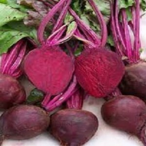 Heirloomsupplysuccess 50 Heirloom Detroit Dark Red Beet Seeds - Etsy