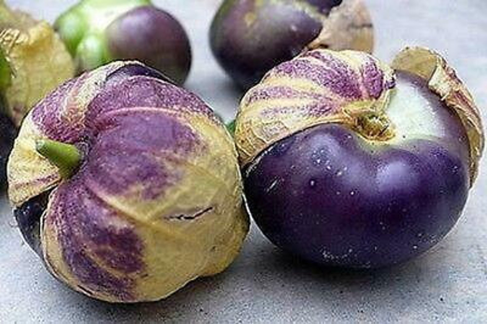 HeirloomSupplySuccess Heirloom Purple Tomatillo Seeds | Etsy