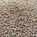 Heirloomsupplysuccess Heirloom White Proso Millet Seeds - Etsy