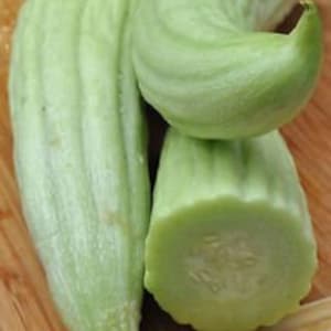 Heirloomsupplysuccess Heirloom Armenian Yardlong Cucumber Seeds - Etsy