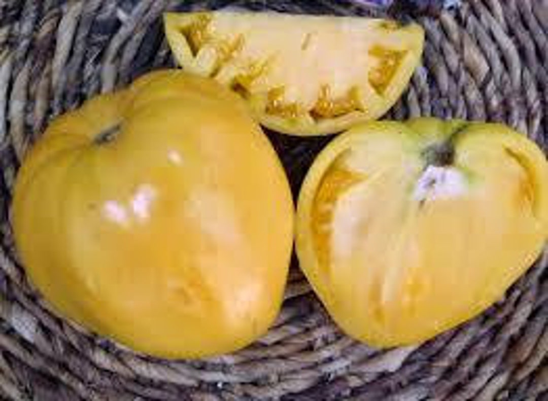 Heirloomsupplysuccess Heirloom Yellow Ox Heart Oxheart Tomato Seeds - Etsy