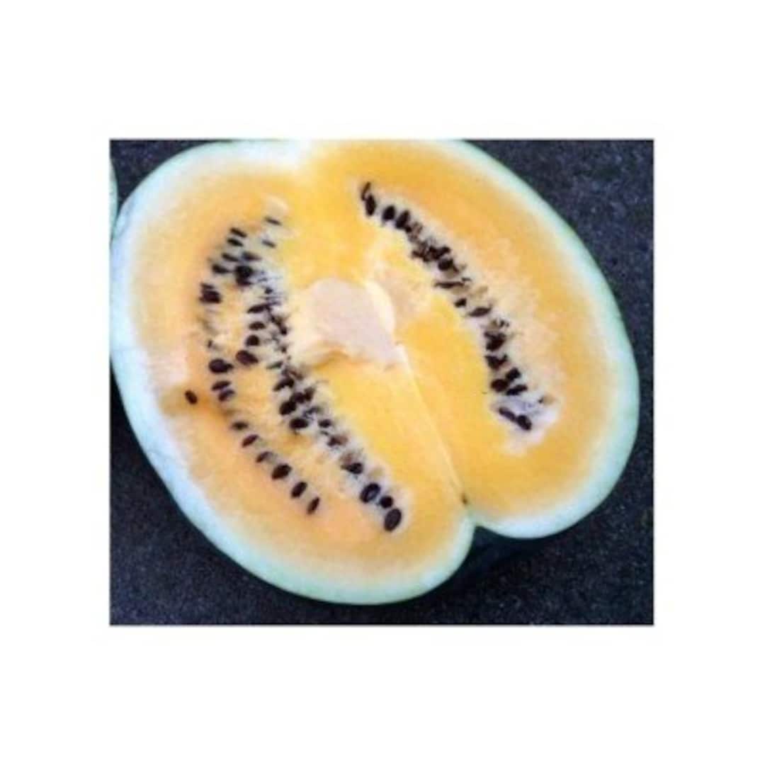 Heirloomsupplysuccess Heirloom Desert King Watermelon Seeds - Etsy