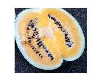 Desert King Watermelon Seeds - Etsy