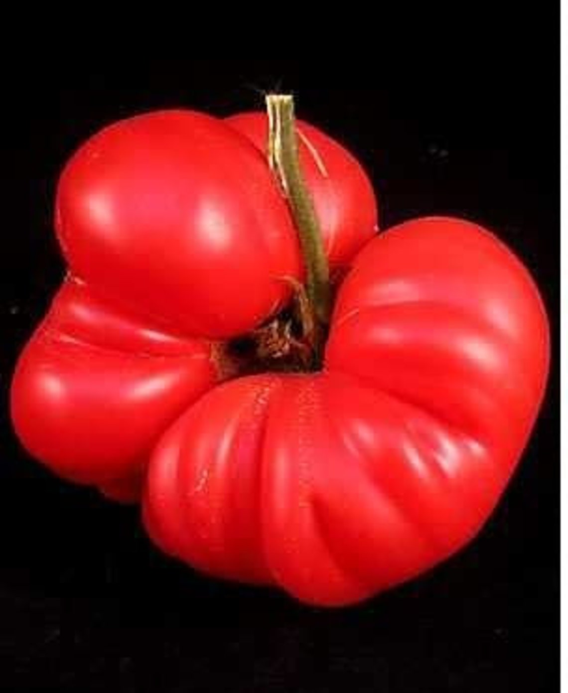 HeirloomSupplySuccess Heirloom Red Calabash Tomato Seeds - Etsy Italia
