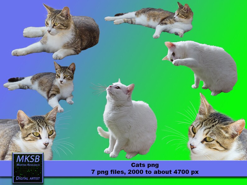Photoshop Overlays. Png Files Cats. to Create Your Own Digital Art ...