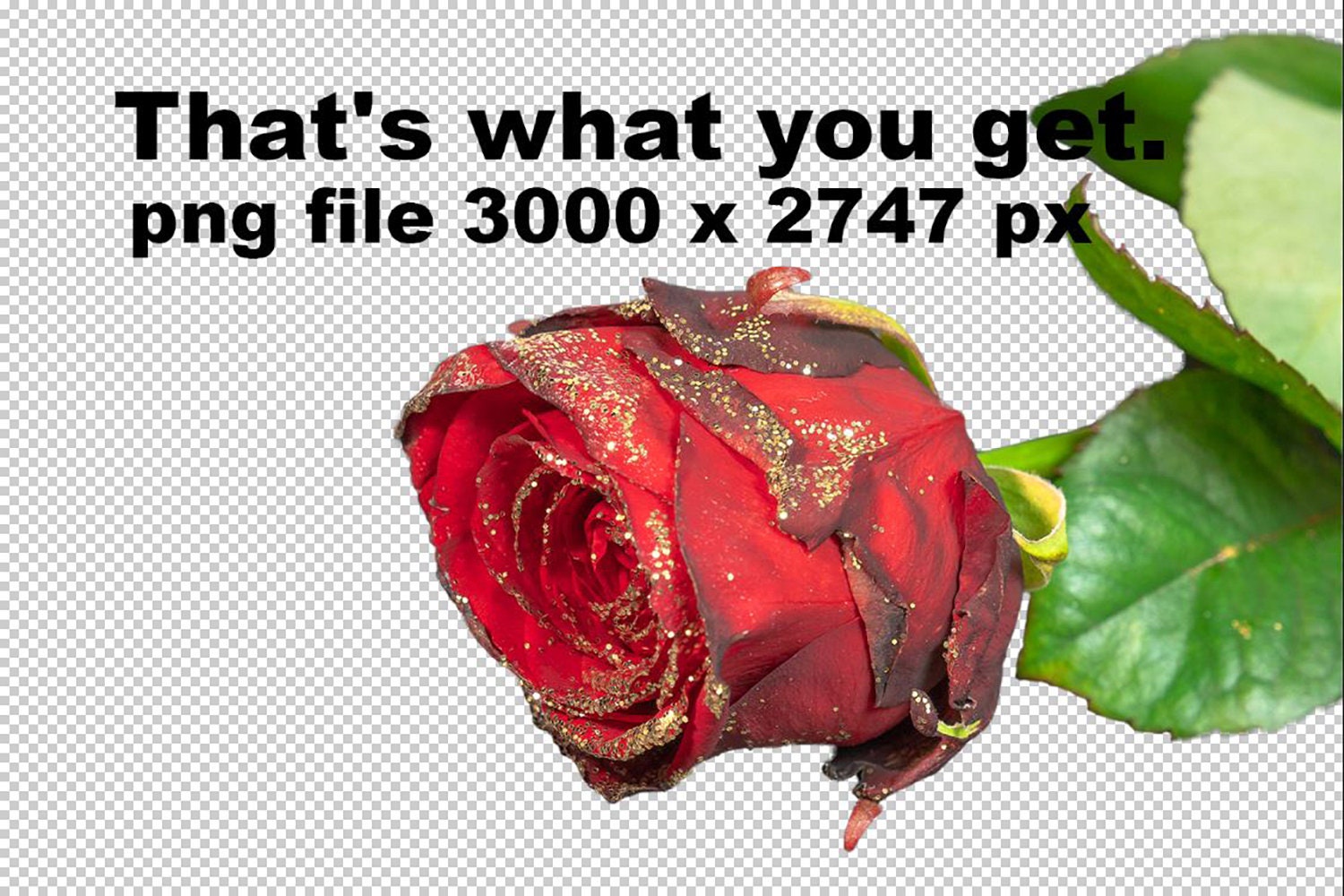 Photoshop Overlays. Red Roses Png. Crops to Edit Your Own - Etsy