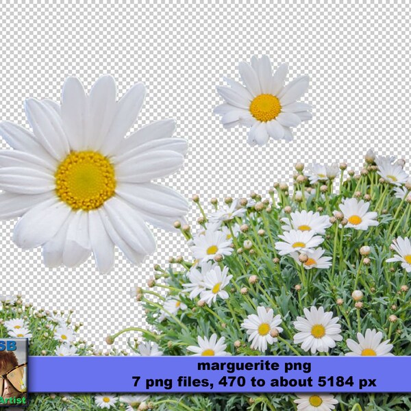 Flower Overlay Photoshop - Etsy