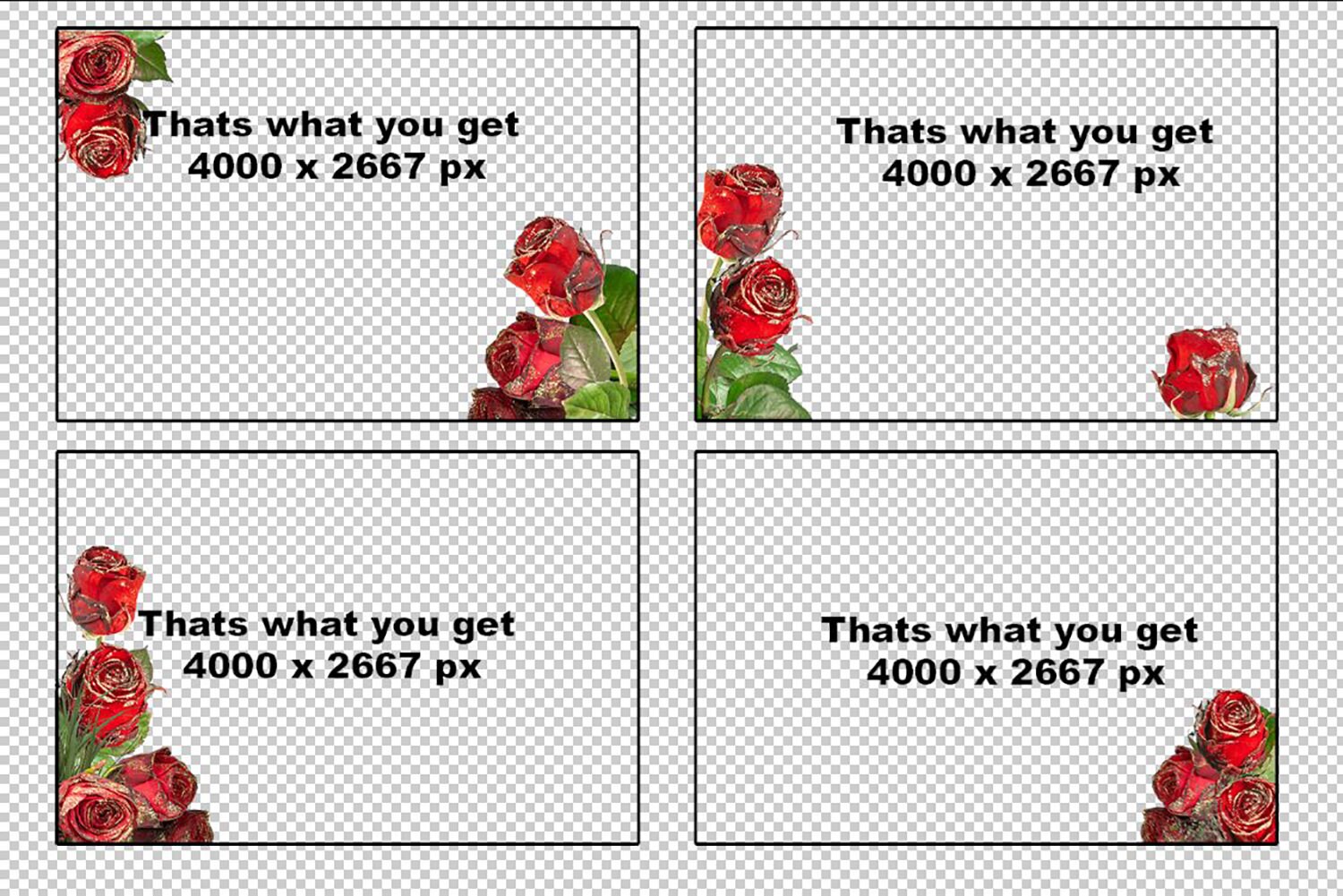 Photoshop Overlays. Red Roses Png. Crops to Edit Your Own - Etsy