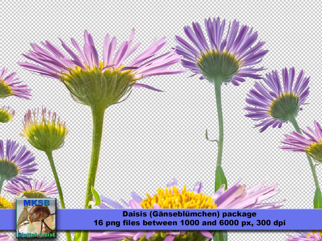 Photoshop Overlays. Daisy. Exemptions for Creating Your Own Digital Art ...