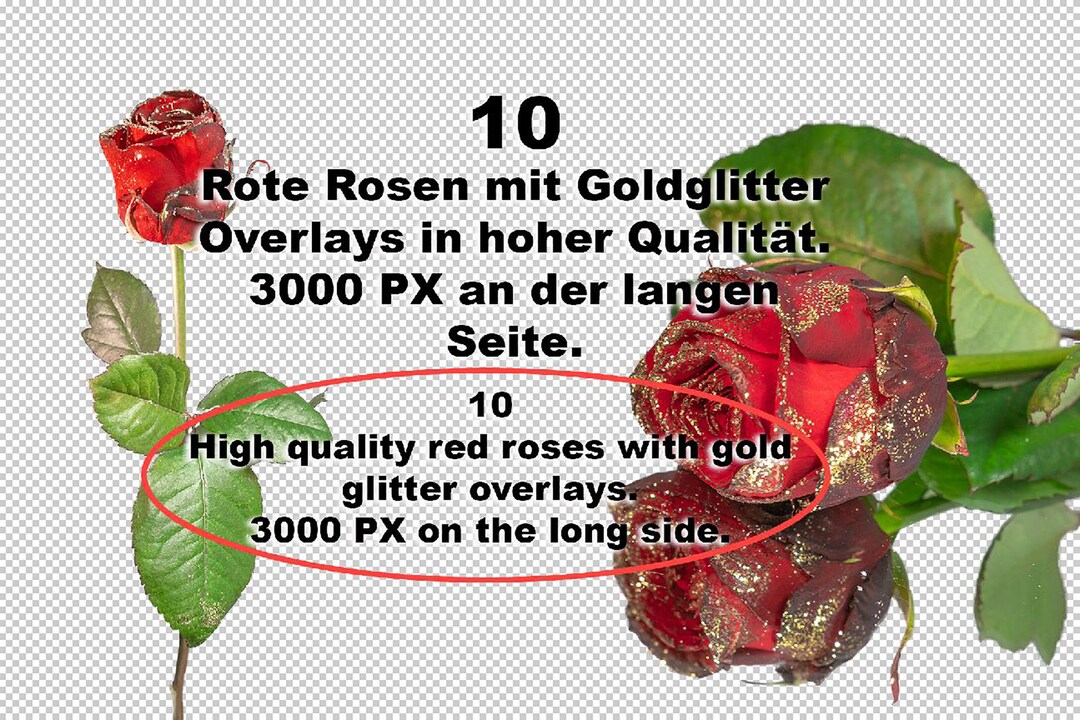 Photoshop Overlays. Red Roses Png. Isolates for Editing Your Own Photos ...