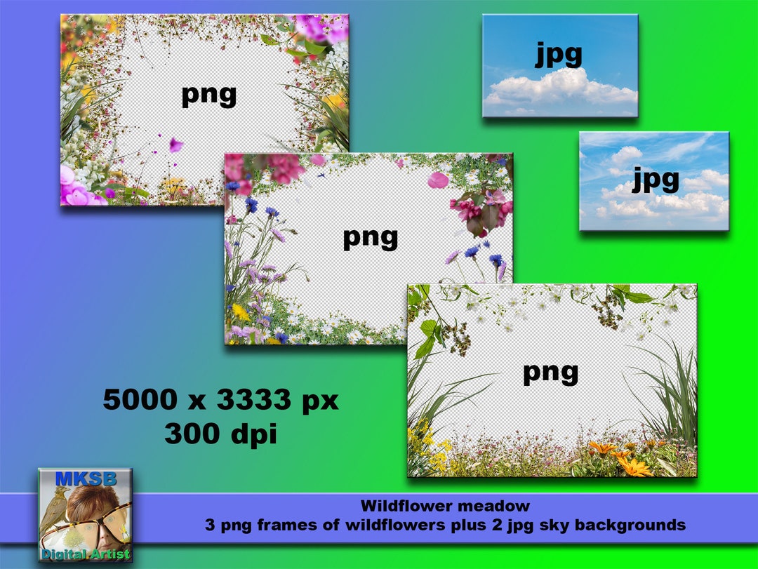 Photoshop Overlays. Wildflower Frames. Flower Frames for Editing Your ...