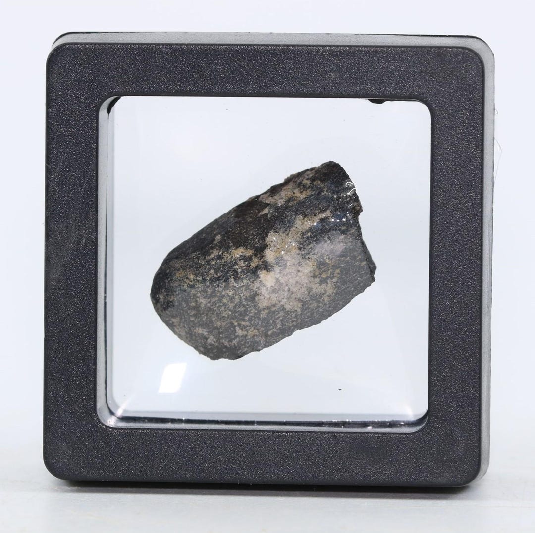 Stegosaurus Small Fossil Piece Bone Cabin Quarry Wyoming WY COA 6765 - Etsy