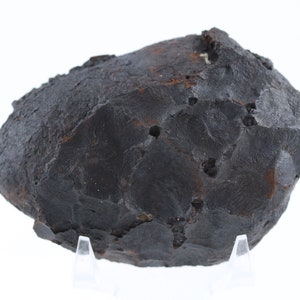 A "dragon Scale" Stone Cretaceous Hell Creek North Dakota COA 5255 ...