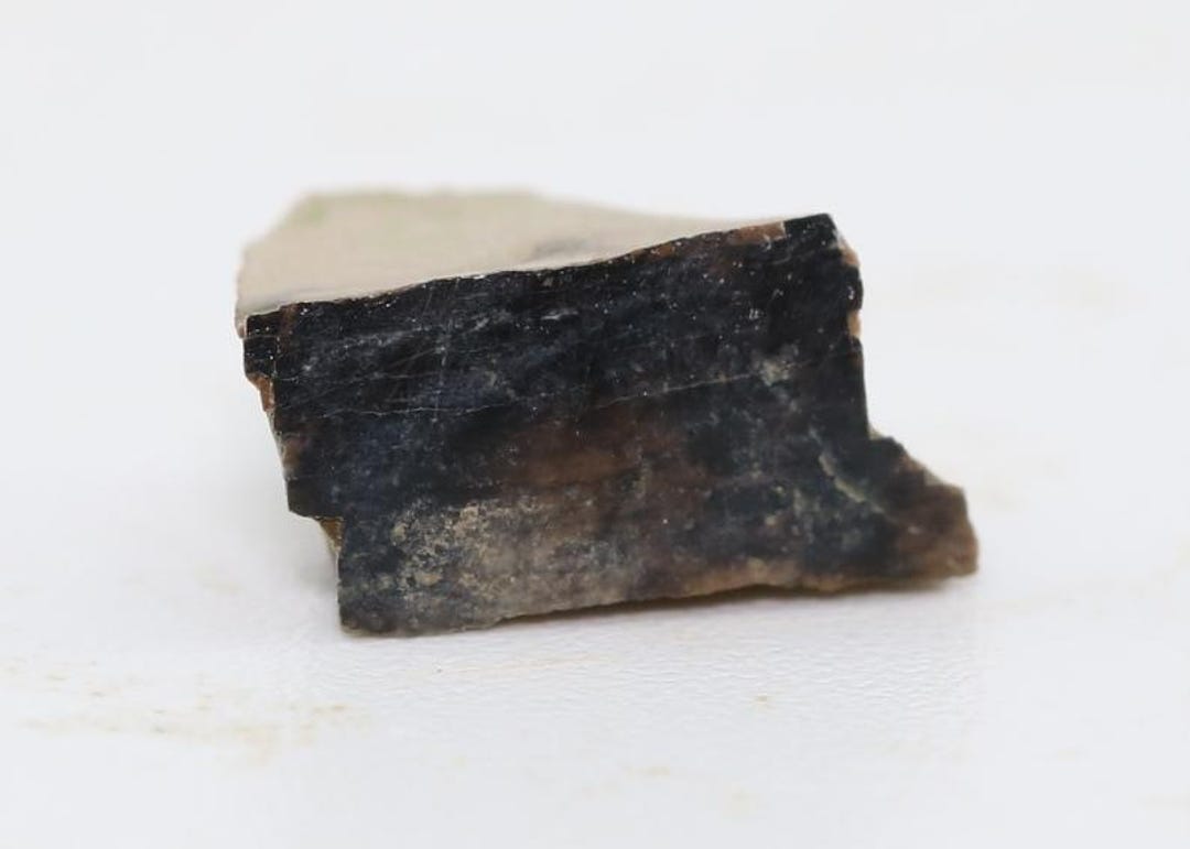 Tyrannosaurus Rex T Rex Small Tooth Fragment Lance Creek Wyoming WY COA ...