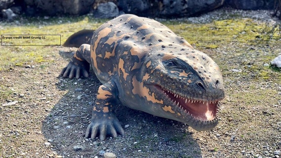 Labyrinthodont Teeth