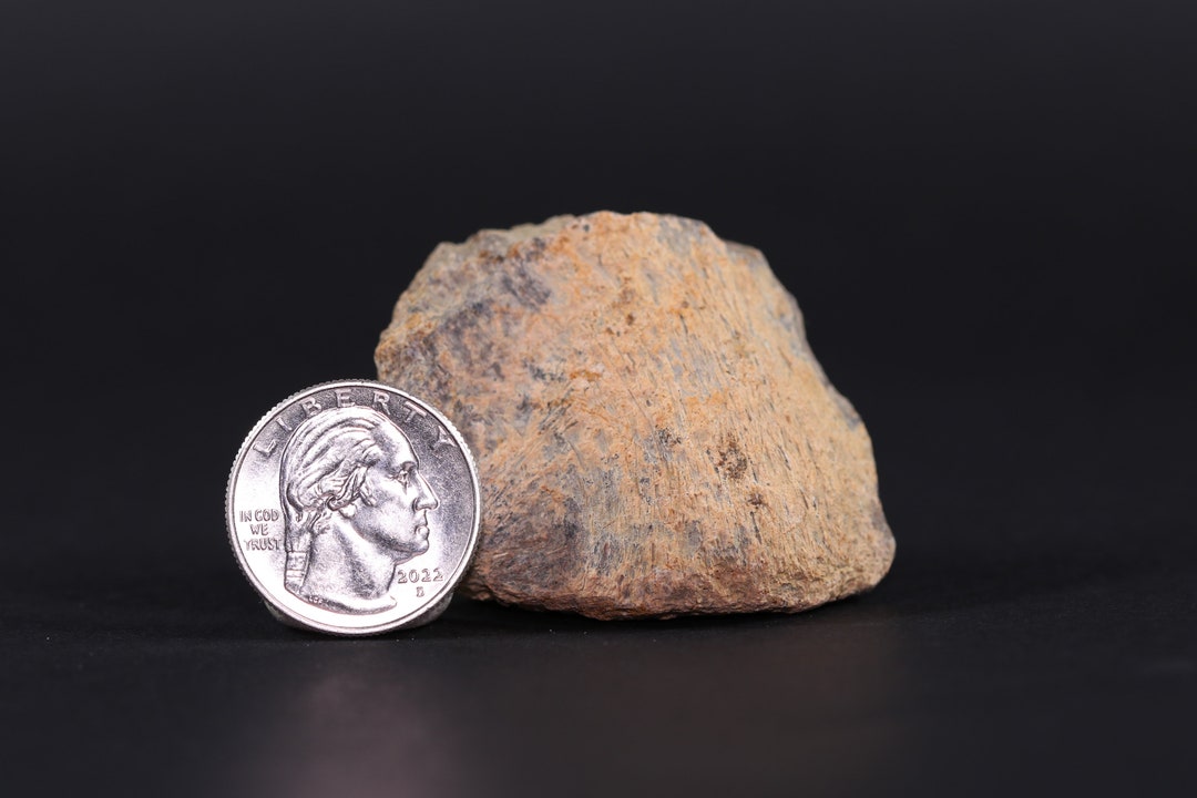 Triceratops Fossil Bone Piece Hell Creek Fm. South Dakota SD COA 5590 ...