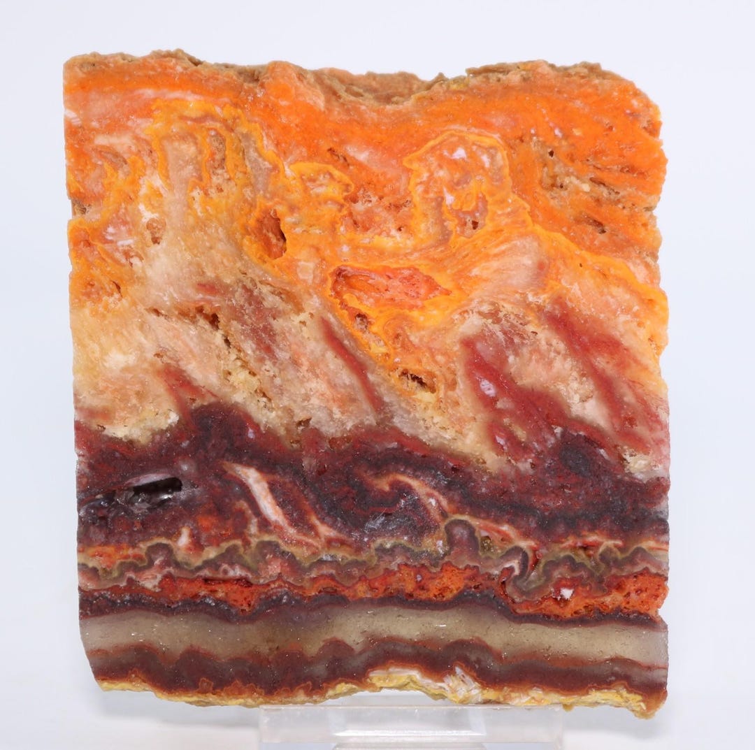 Amazing "wildfire Bacon Bubble Opal" Gorgeous Slab Milford Utah UT COA ...