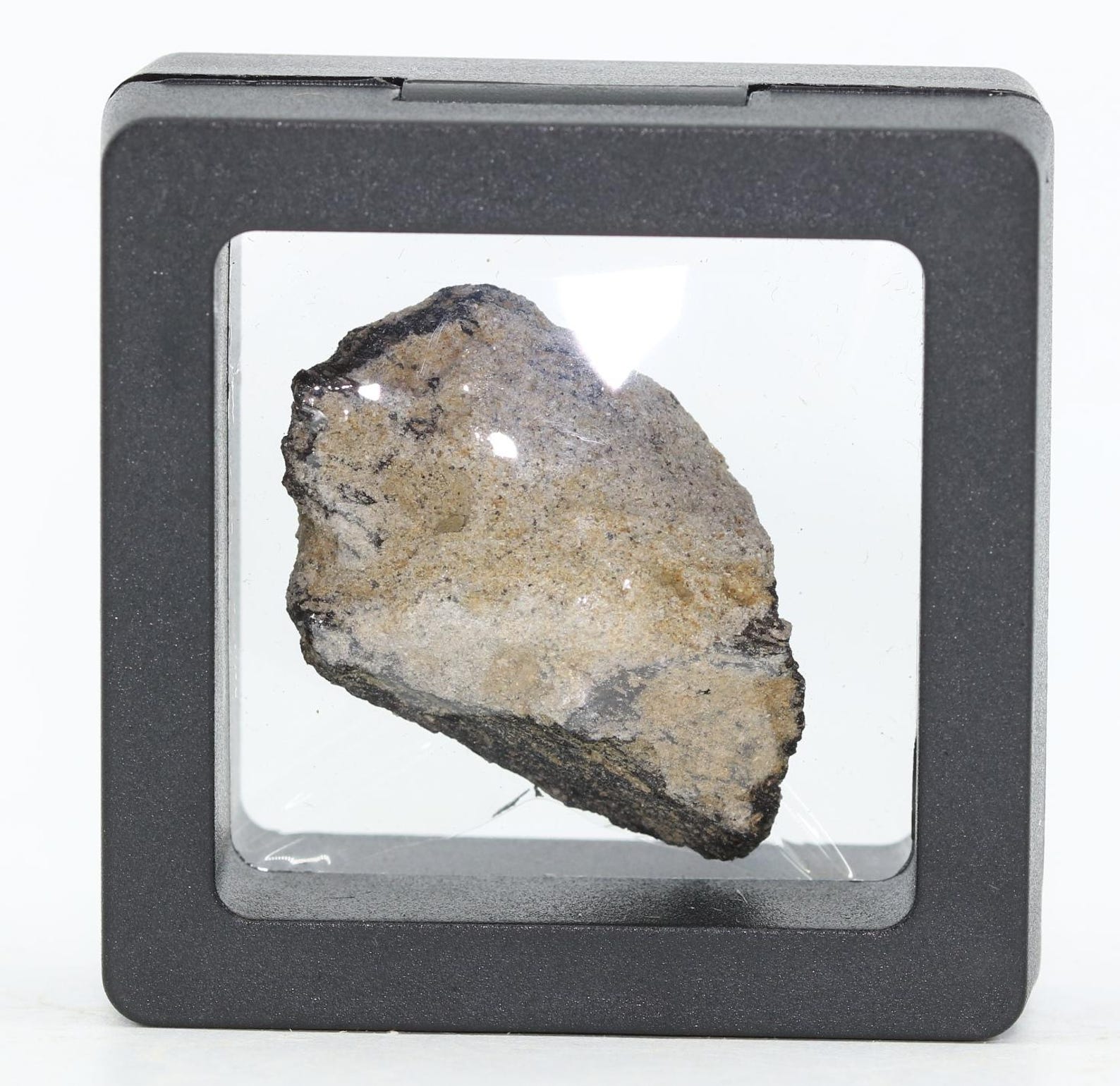 Stegosaurus Fossil Dinosaur Piece 1.39 Bone Cabin Quarry Jurassic ...