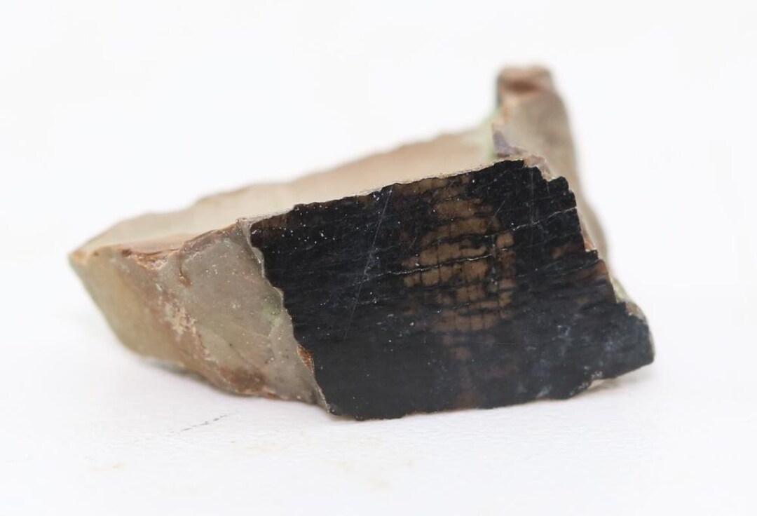 Tyrannosaurus Rex T Rex Small Fossil Tooth Fragment Lance Creek ...