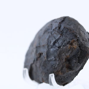 A "dragon Scale" Stone Cretaceous Hell Creek North Dakota COA 5255 ...