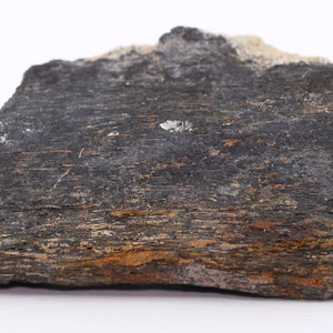 Camarasaurus Fossil Bone Jurassic Cabin Quarry Wyoming WY COA 5994 - Etsy