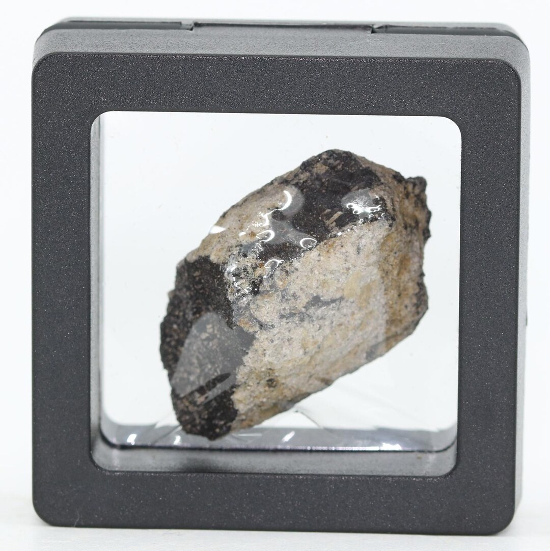 Stegosaurus Fossil Dinosaur Piece 1.39 Bone Cabin Quarry Jurassic ...