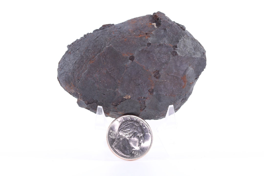 A "dragon Scale" Stone Cretaceous Hell Creek North Dakota COA 5255 ...