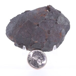 A "dragon Scale" Stone Cretaceous Hell Creek North Dakota COA 5255 ...