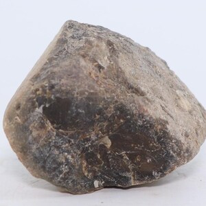 Allosaurus Dinosaur Fossil Rib Piece Jurassic Morrison Formation ...