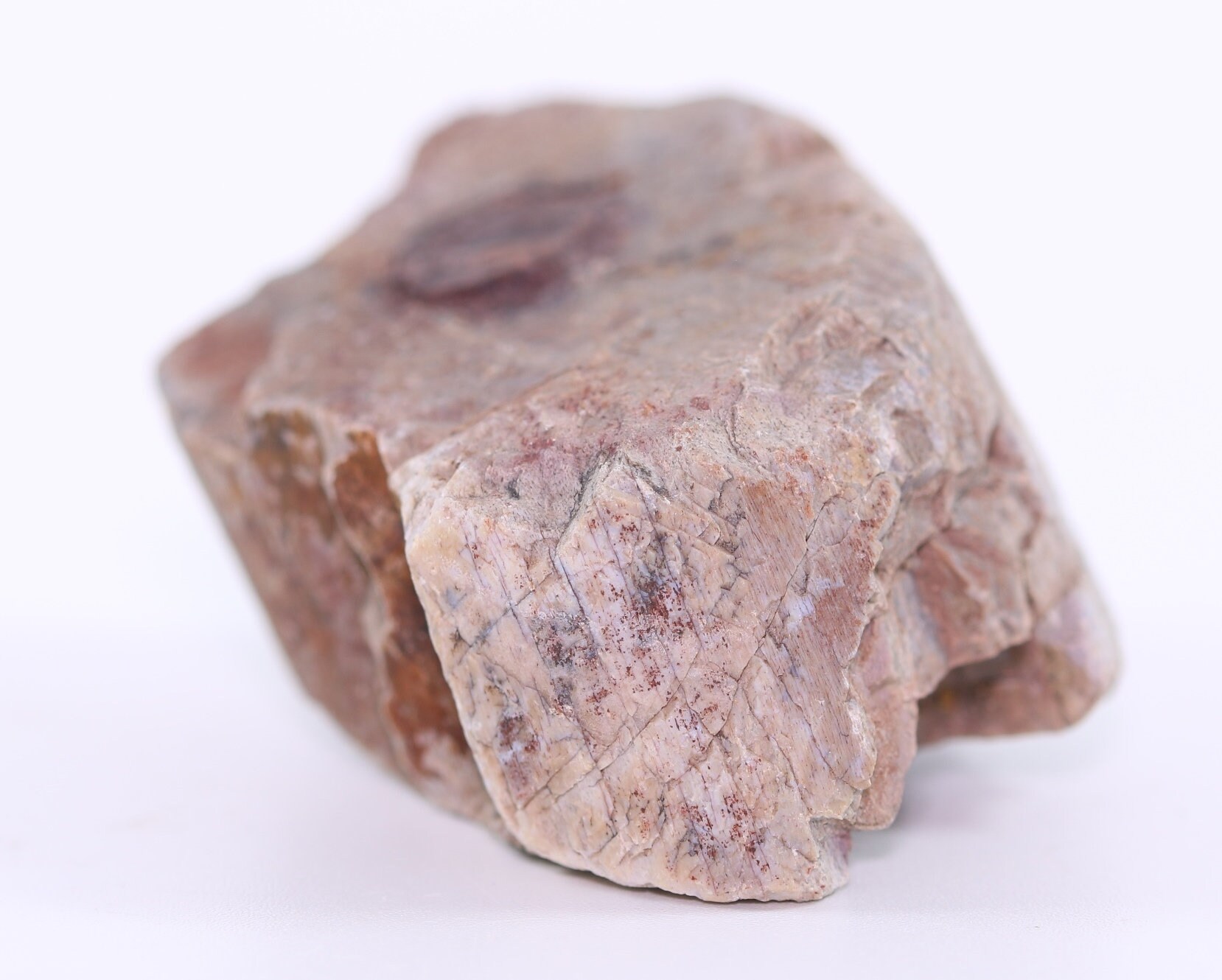 Fossil Dinosaur Allosaurus Rib Piece Jurassic Morrison Fm. - Etsy