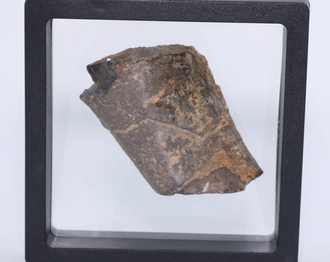Apatosaurus Dinosaur Fossil Rib Bone Piece 2.6" 66.1mm Morrison ...