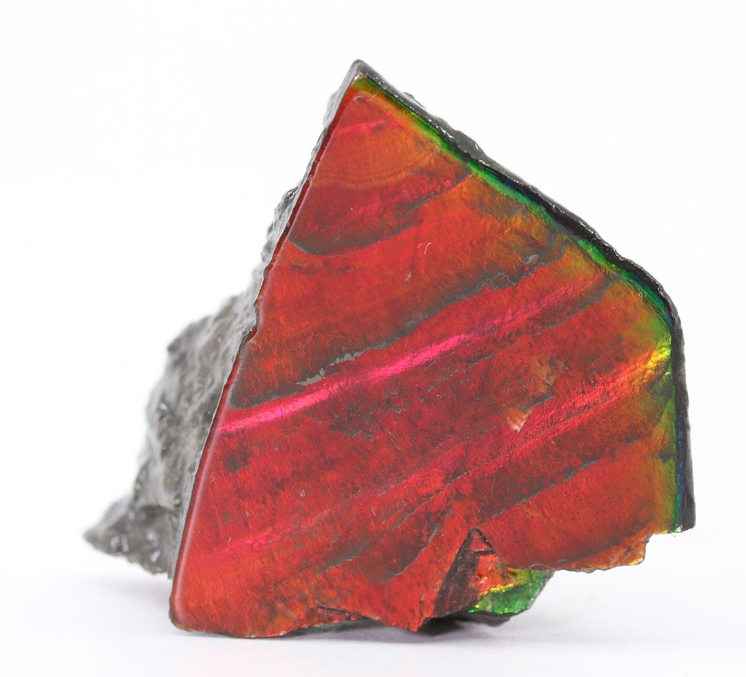 Ultra Rare Cherry Red Ammolite With Ripples Extremely Rare Color 39.4mm ...