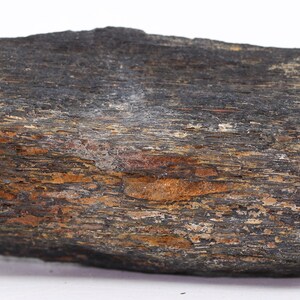 Camarasaurus Fossil Bone Jurassic Cabin Quarry Wyoming WY COA 5994 - Etsy