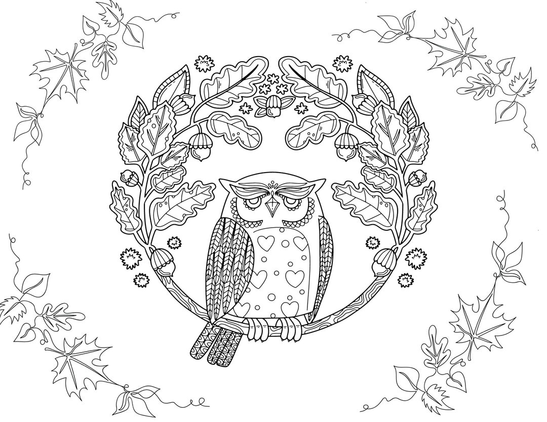 Owl Coloring Worksheet - Etsy